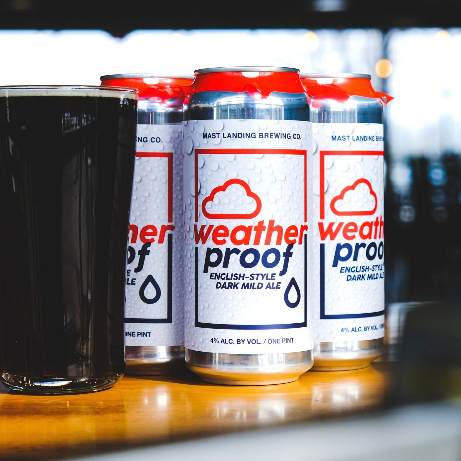 Weatherproof English Dark Mild — Mast Landing Brewing Company