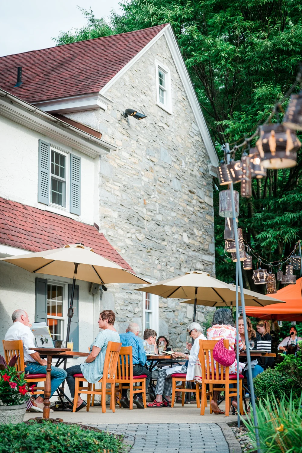 About — the fern & fable