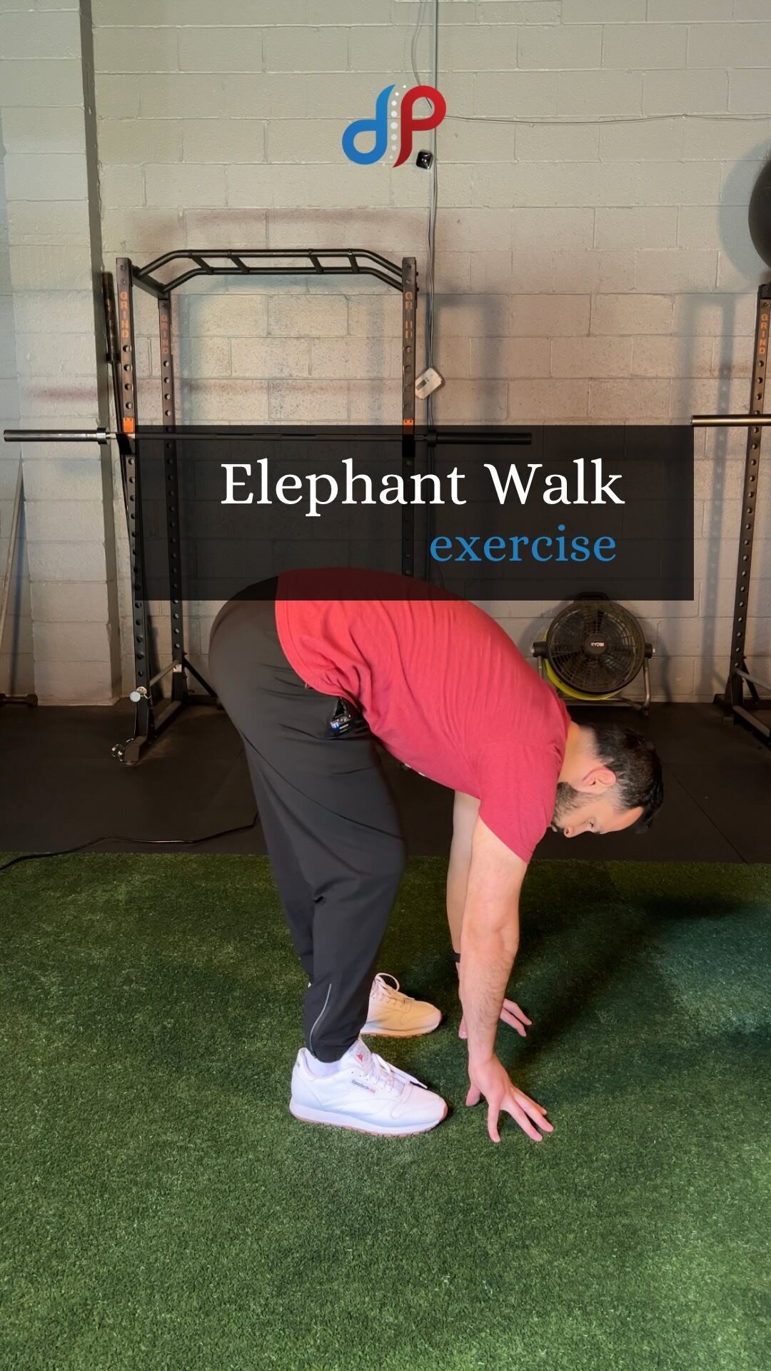 Dynamic Physio Rehab and Wellness