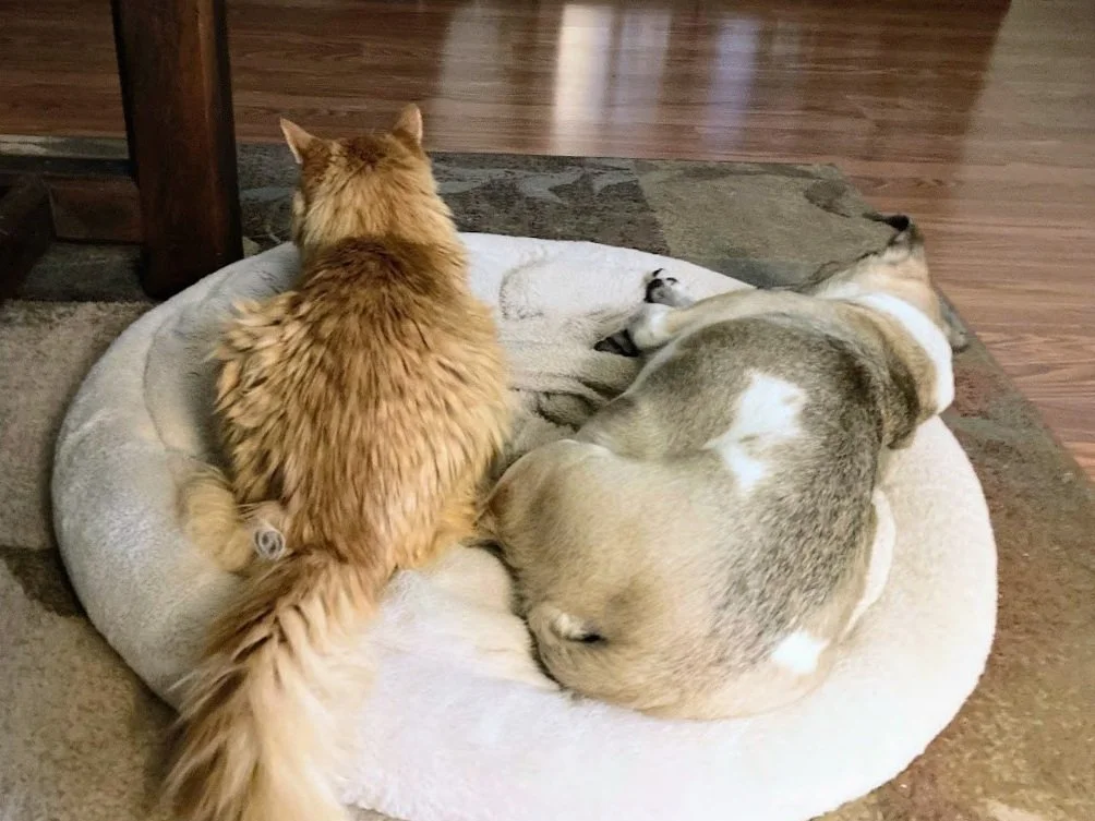 About Page — Verbosity Creative Solutions