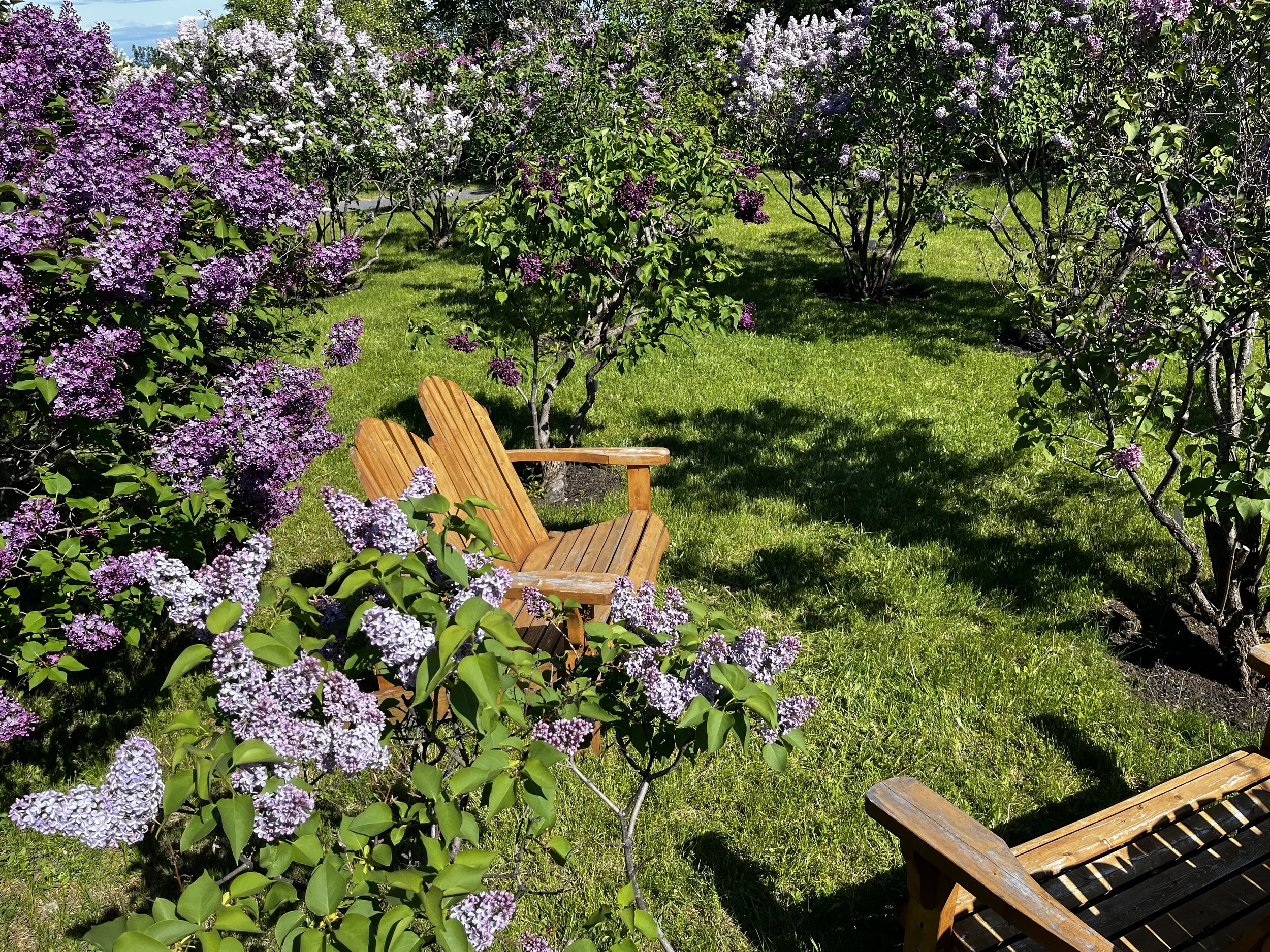 Festival Pour un Instant — Pour un Instant