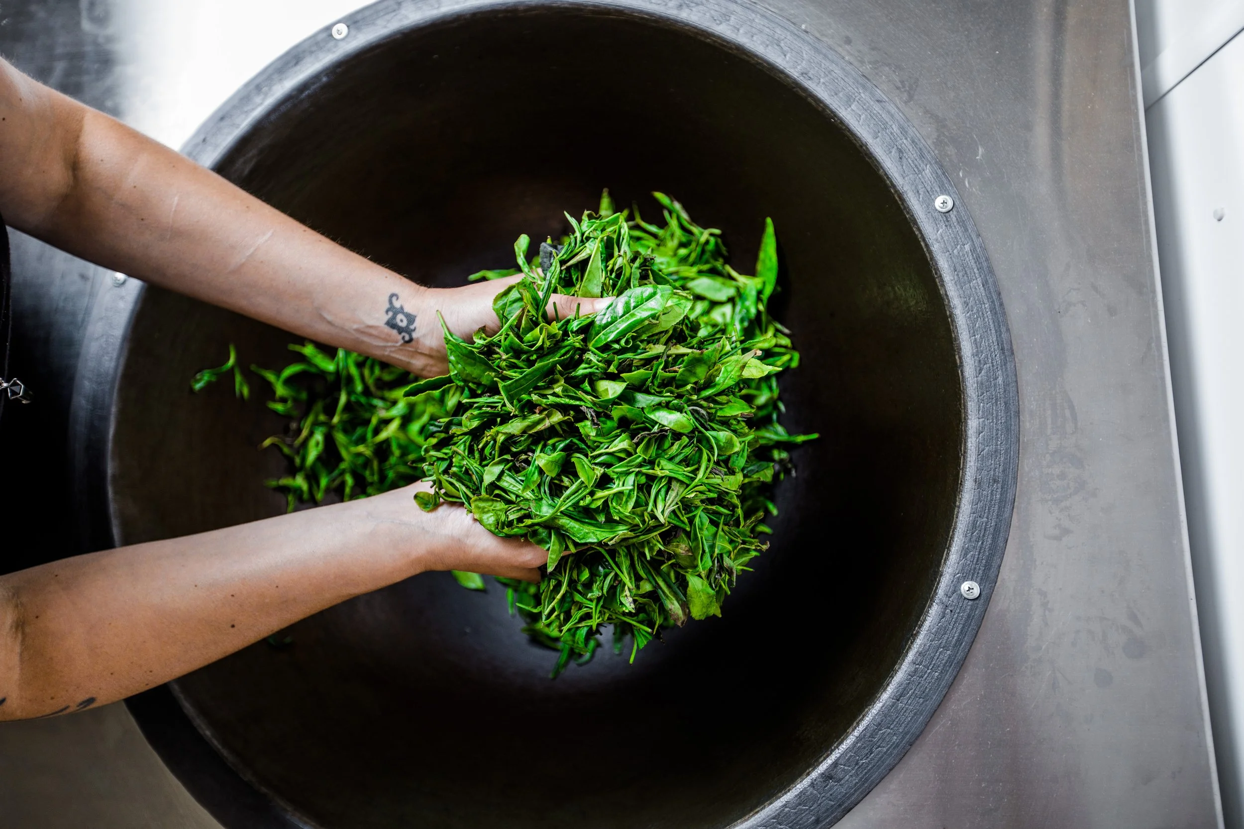 Alicia Gentili Tea Consulting