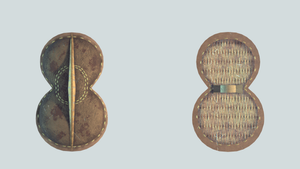 Shields of the Bronze Age — Dee Kariyawasam