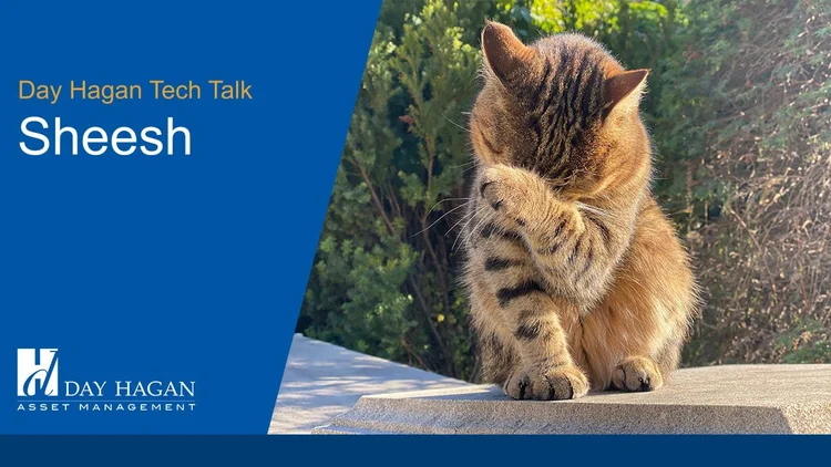 Day Hagan Tech Talk: Sheesh — Day Hagan Asset Management