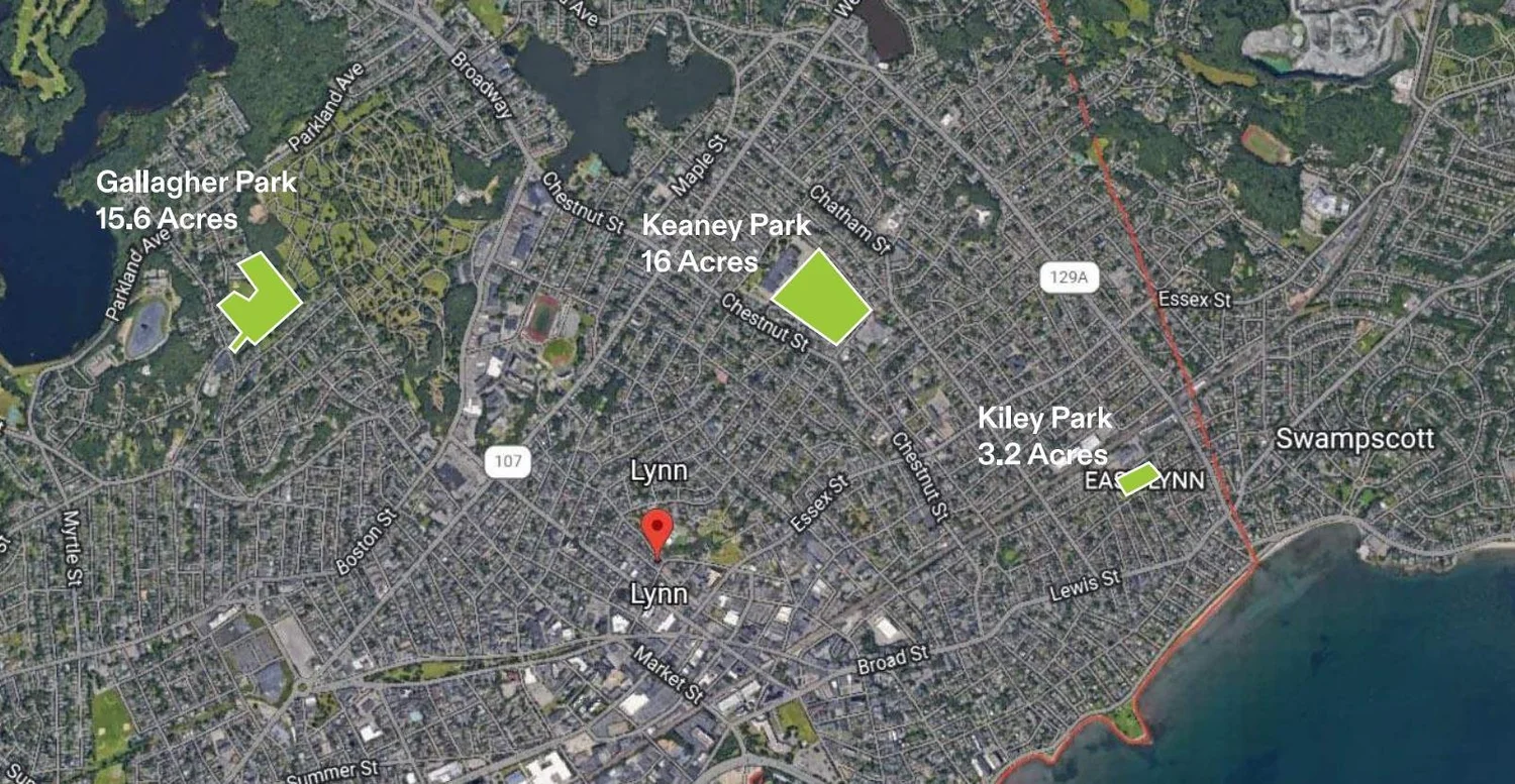 Lynn Parks — Copley Wolff