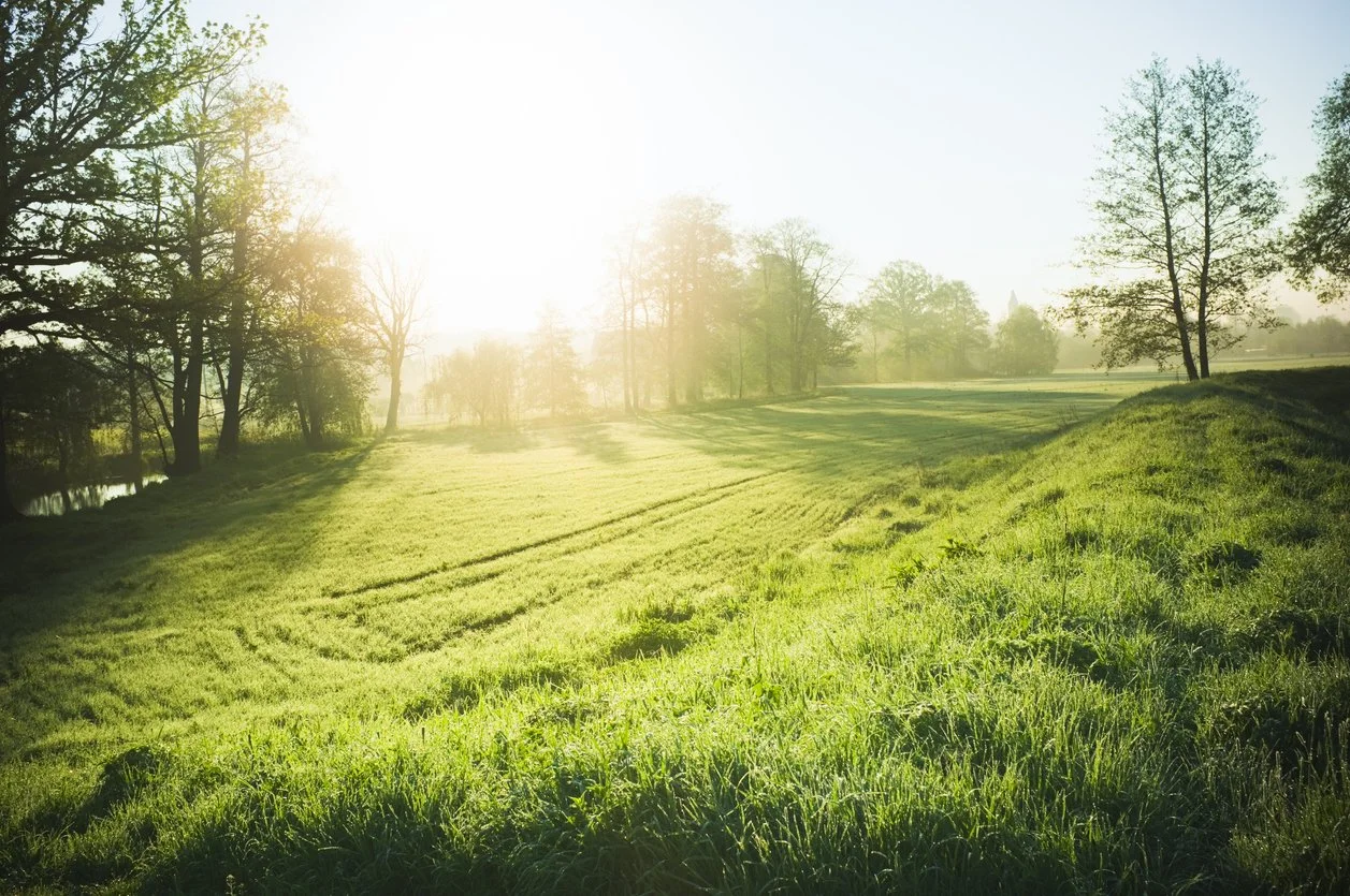 Services — LINDA DIMATTEO, Ph.D., LPC