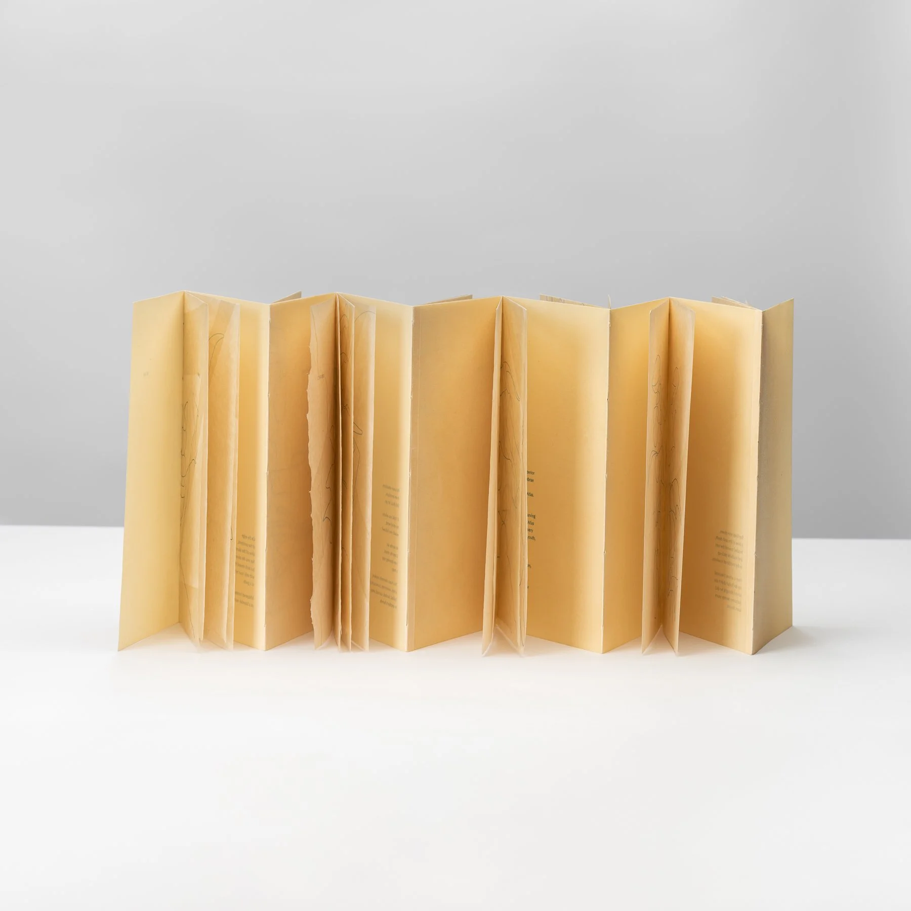 Books — Colleen Lawrence