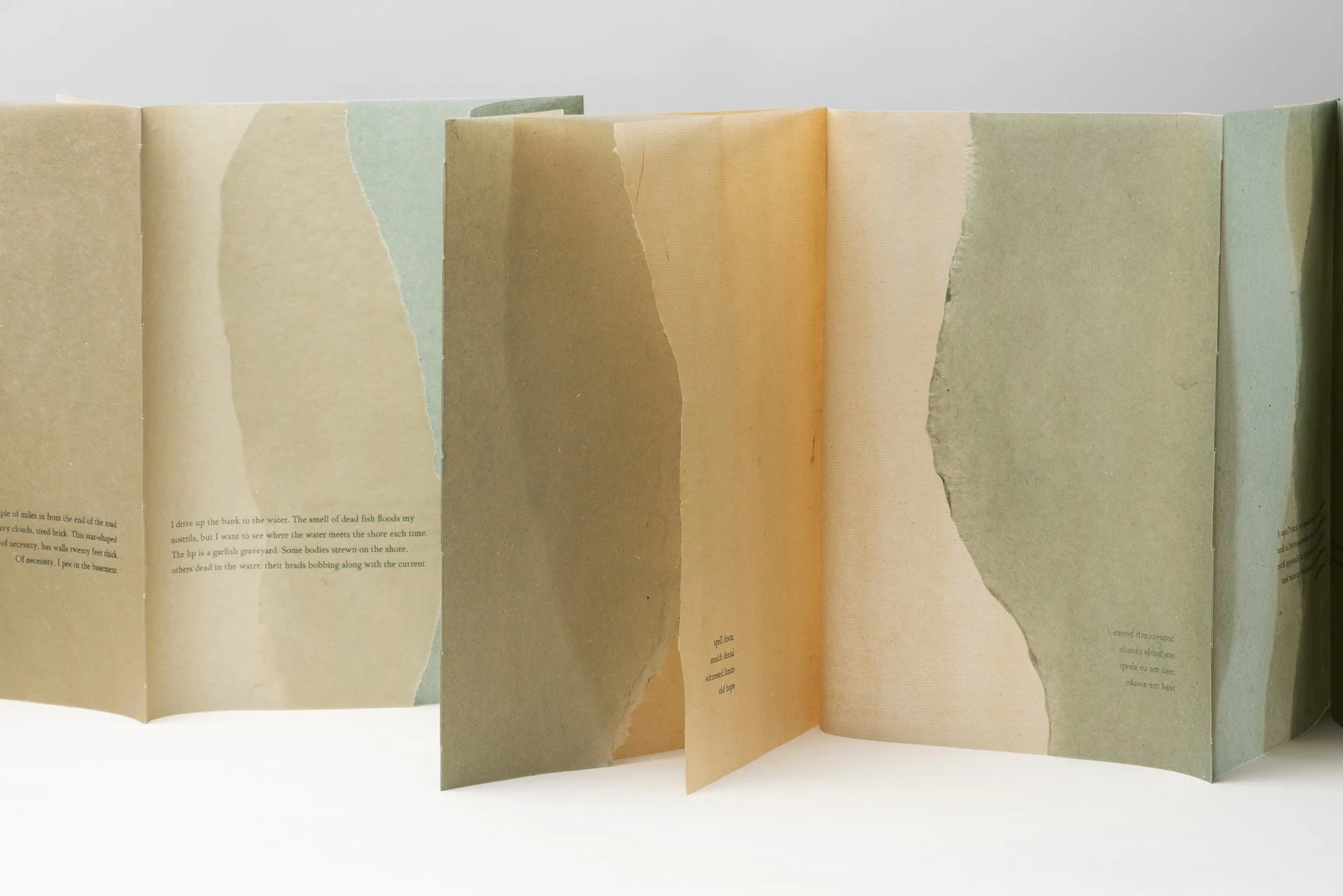 Books — Colleen Lawrence