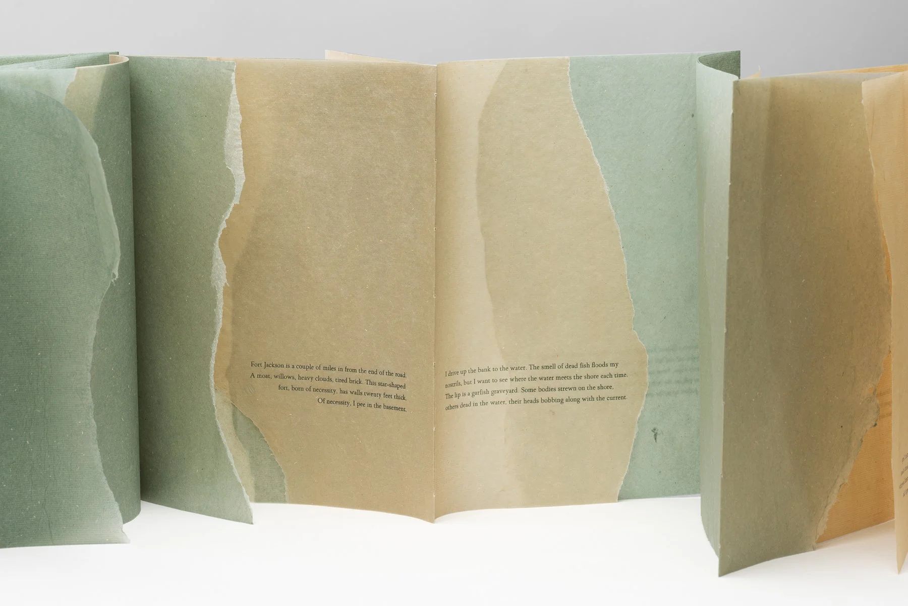 Books — Colleen Lawrence