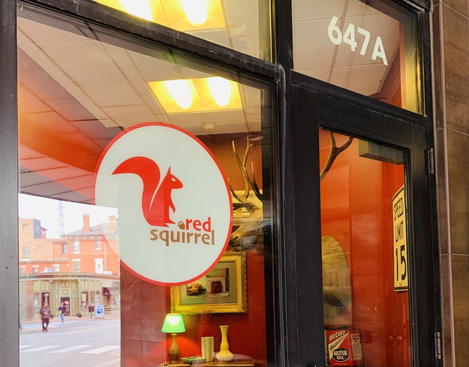 red squirrel