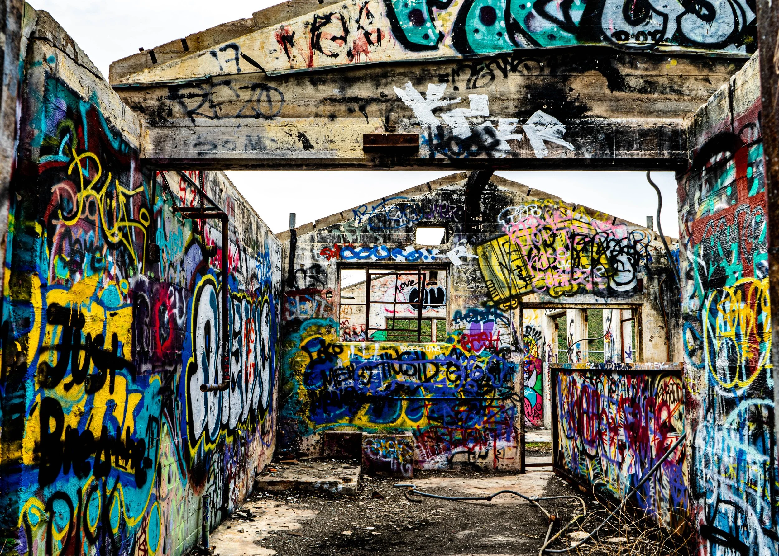 Scary Dairy — Robb Mitchell Collection