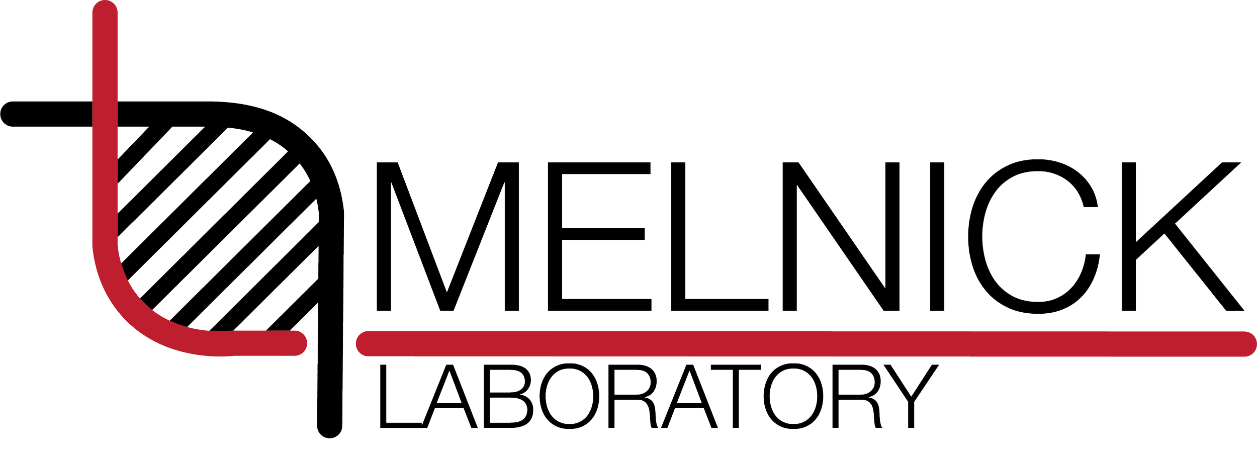 Ari Melnick — Melnick Lab