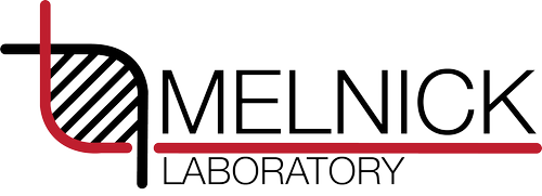 Ari Melnick — Melnick Lab