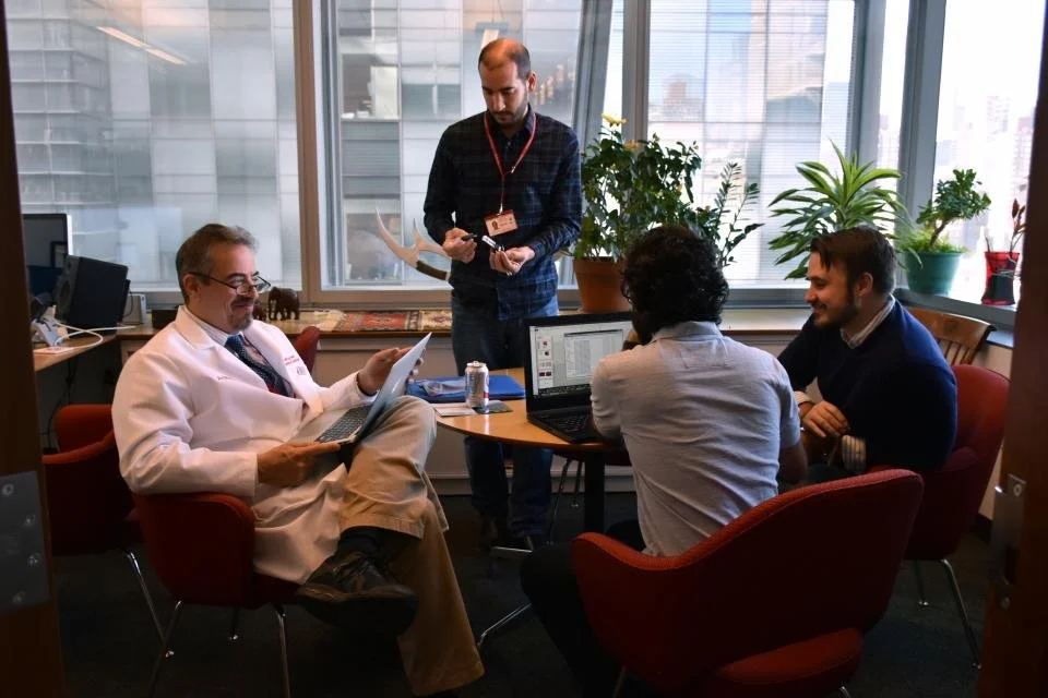 Research — Melnick Lab