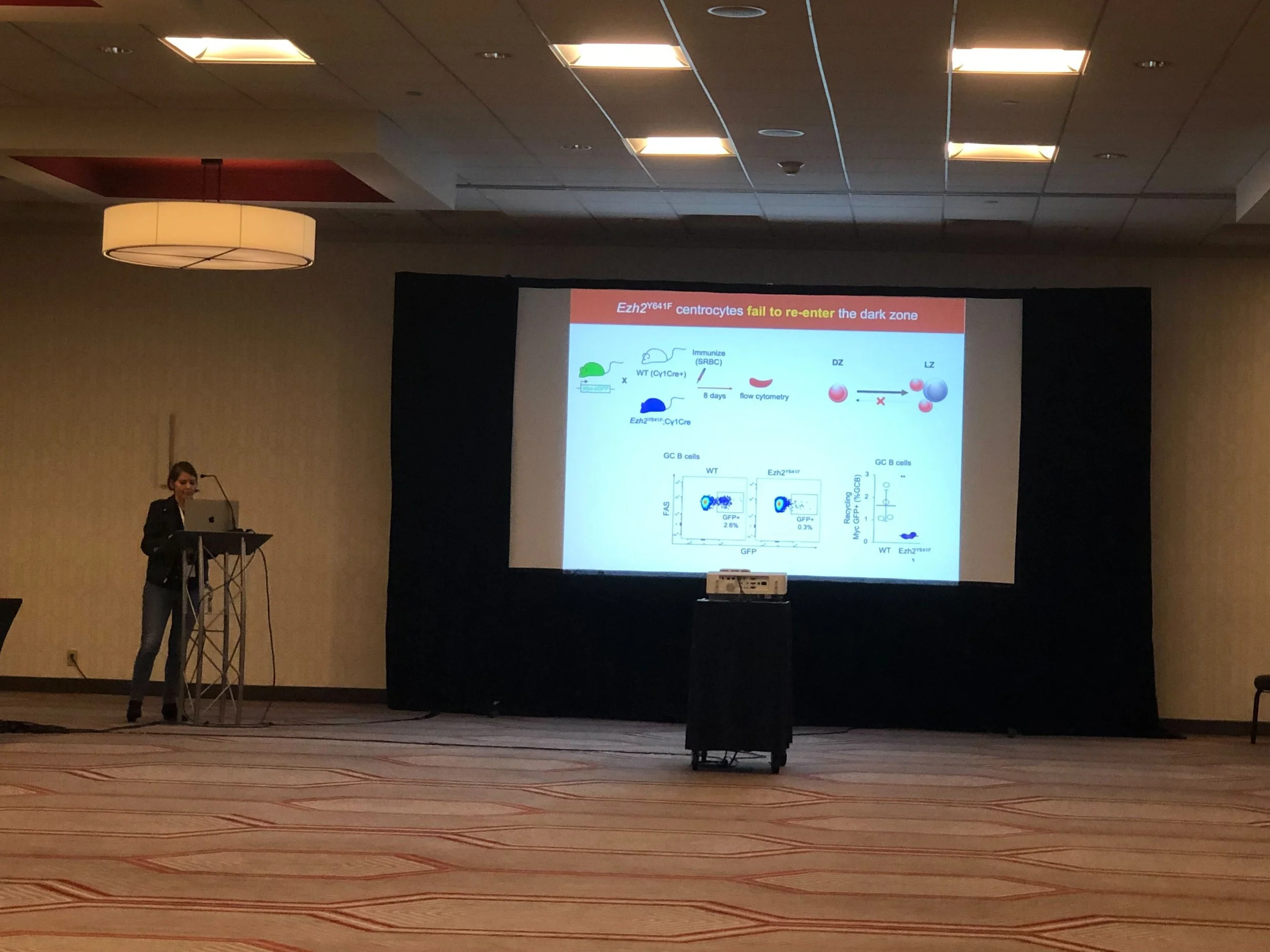 Conferences — Melnick Lab