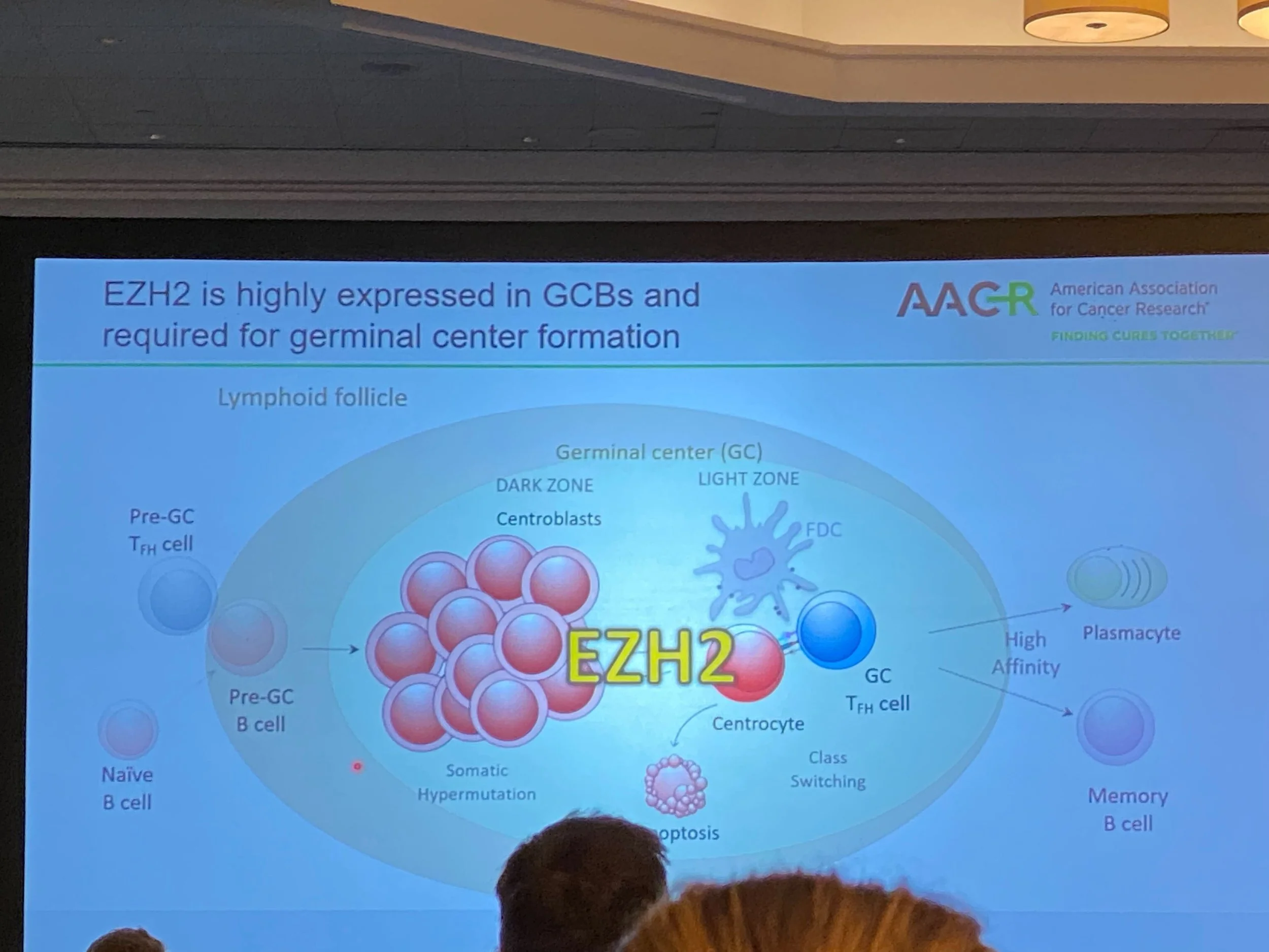 Conferences — Melnick Lab