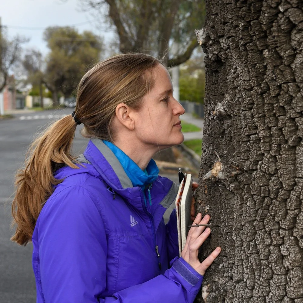 Smell Walks — Smell Art