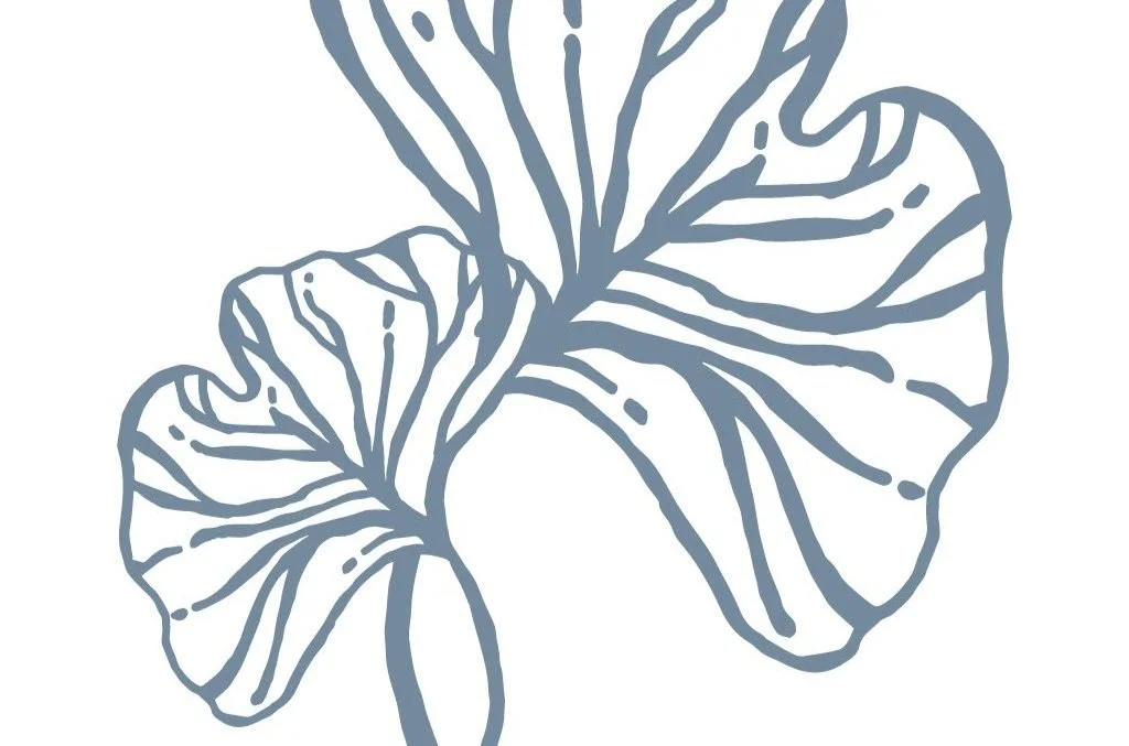 La Vie Aesthetics & Wellness
