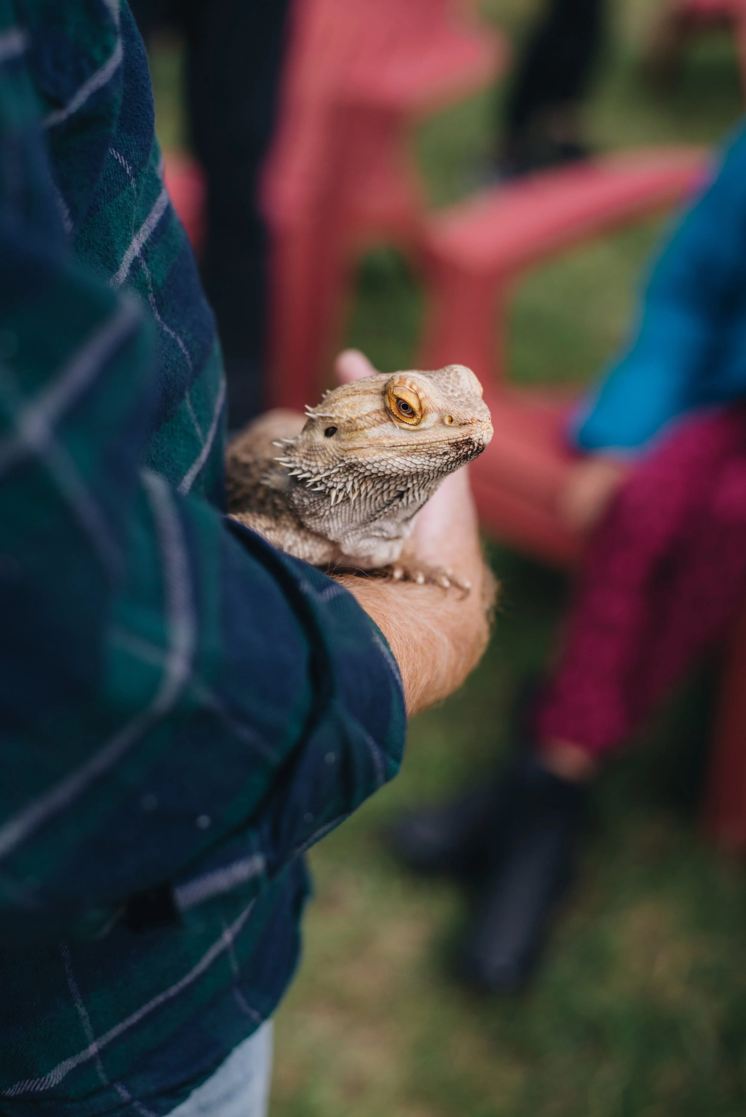 Farm & Frolic