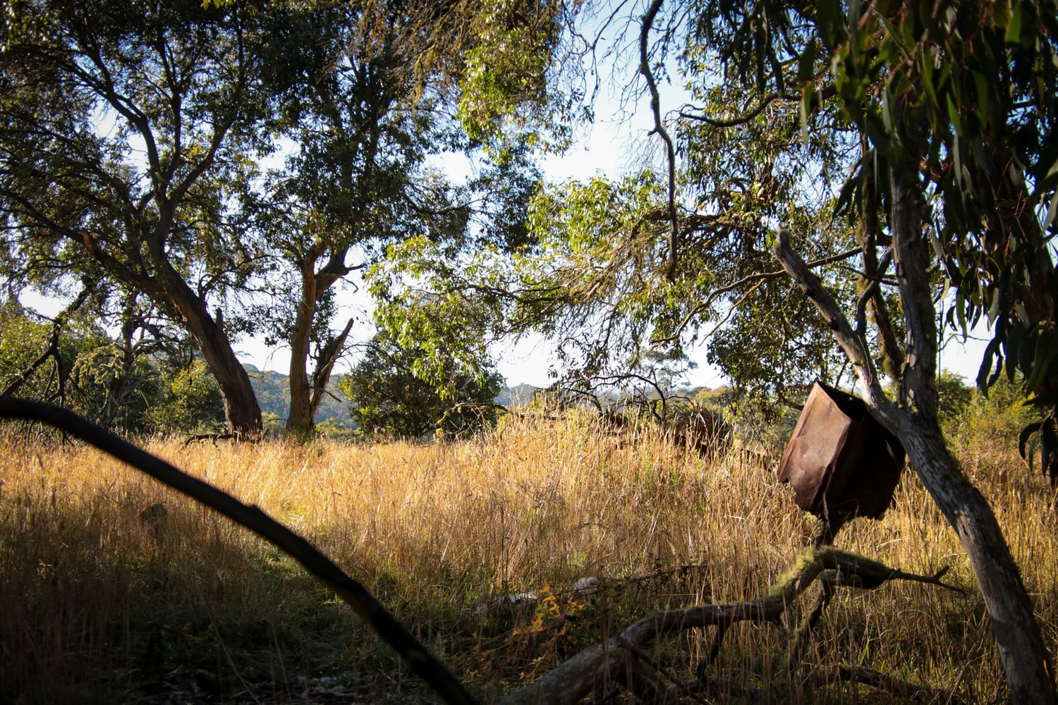 Australian Saddle Safaris