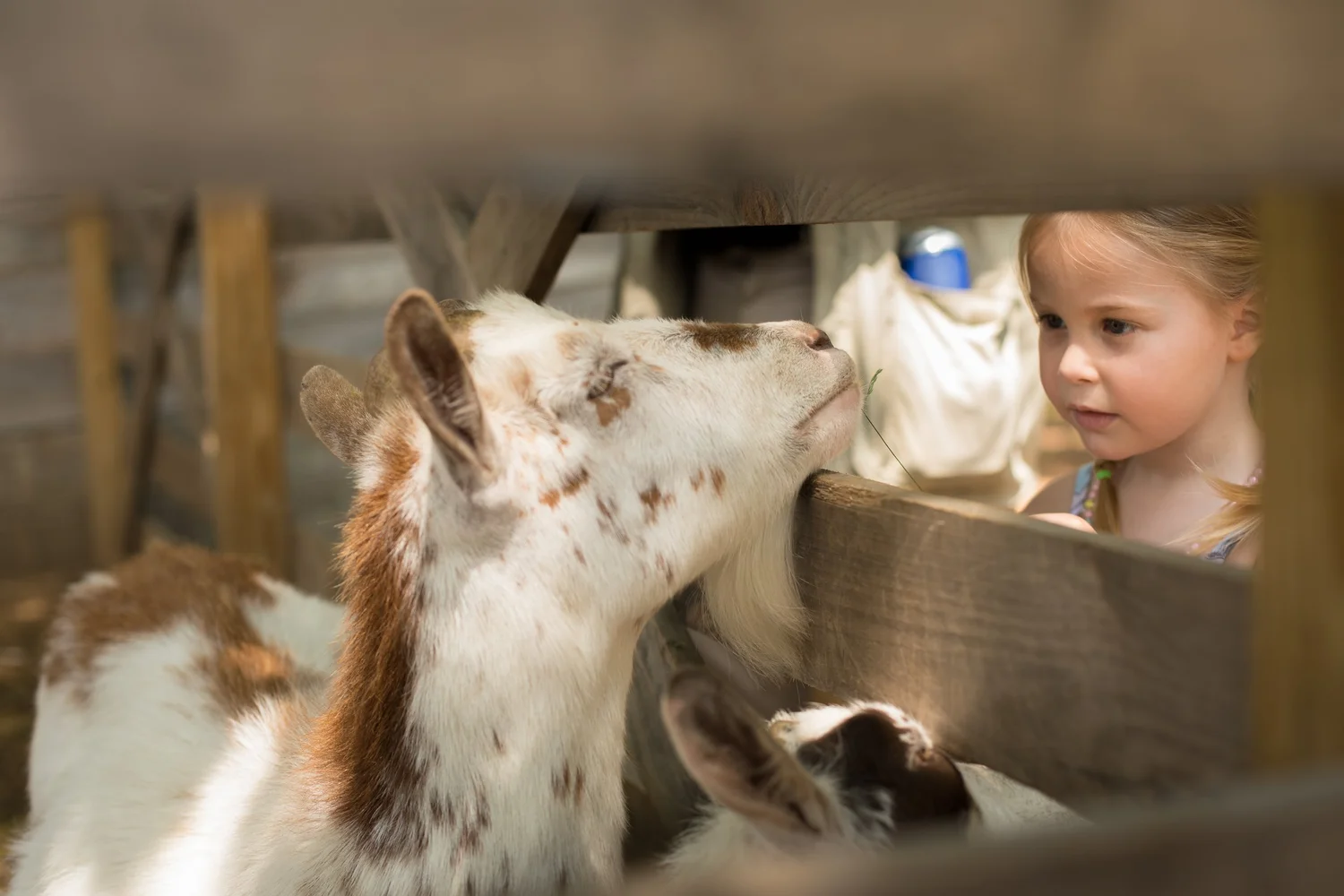 Hackmatack Playhouse | Berwick, Maine