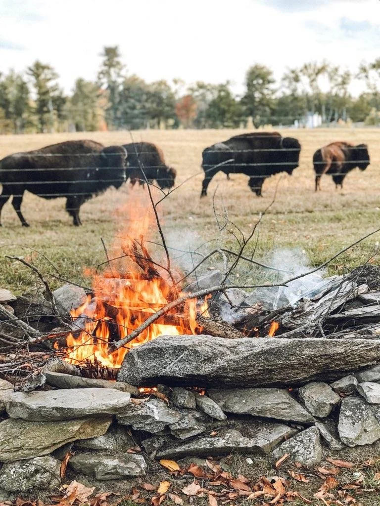Hackmatack Playhouse | Berwick, Maine