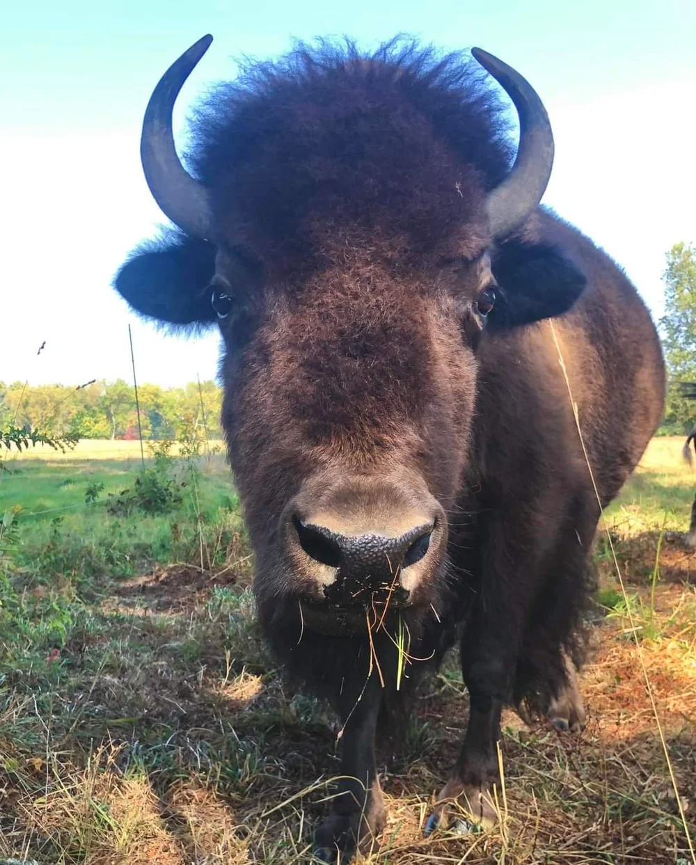 Hackmatack Playhouse | Berwick, Maine