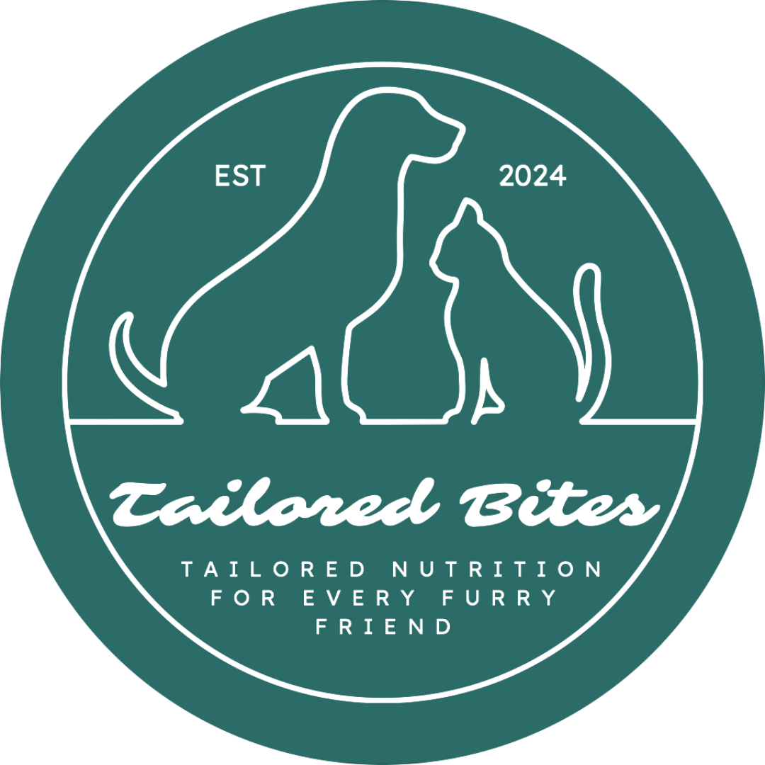 Student Showcase — STARTedUP Foundation