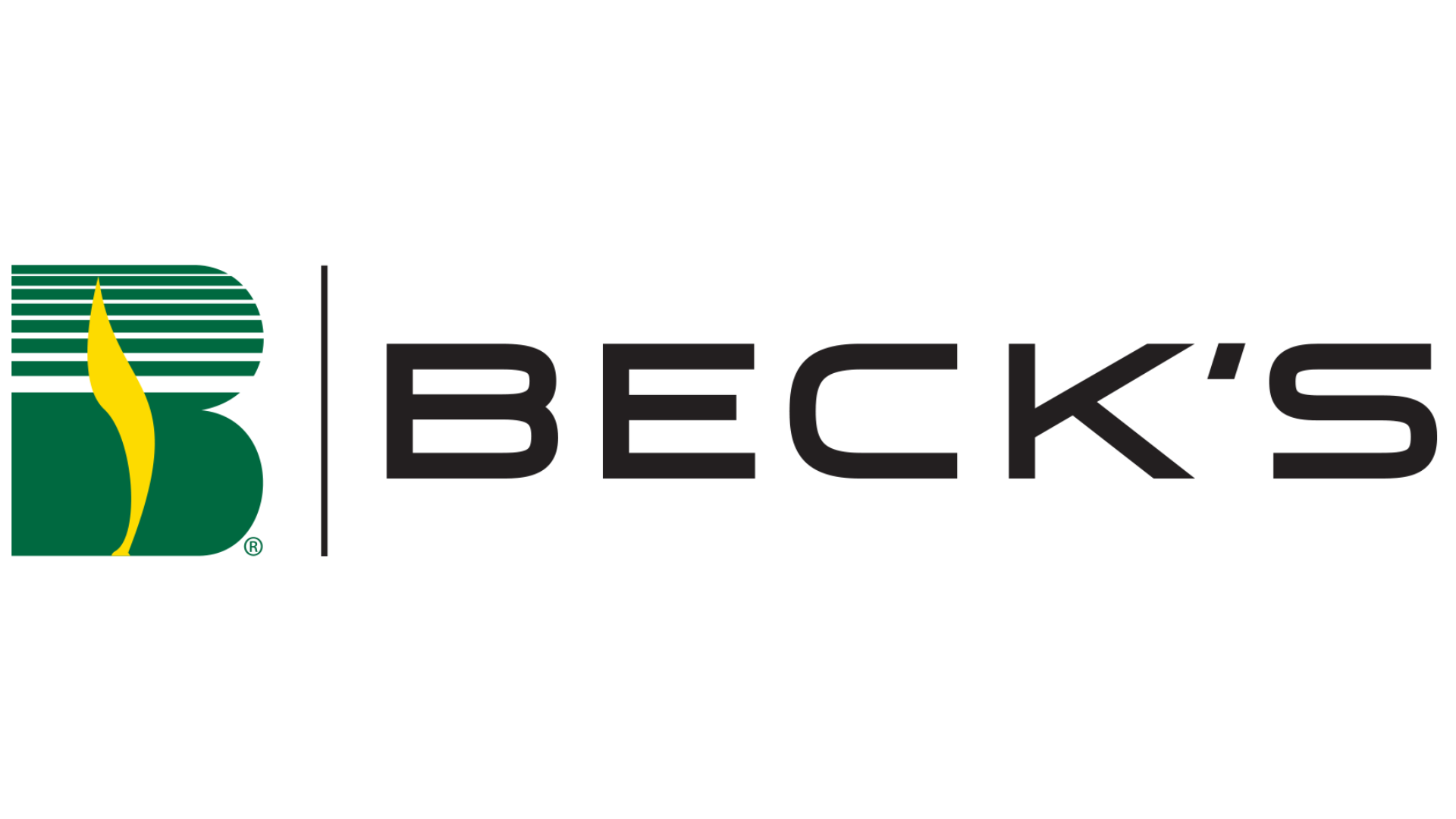 STARTedUP Foundation