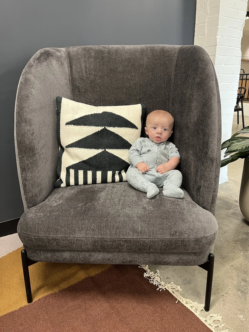 Meet Our Team — STARTedUP Foundation