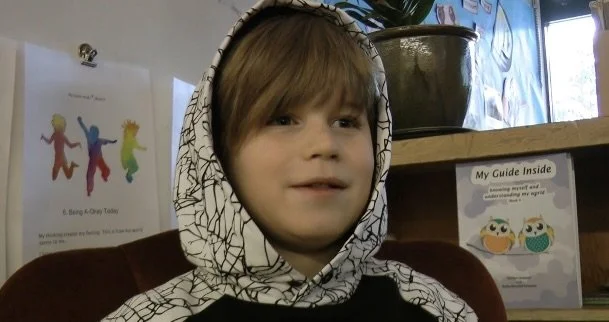 MGI Voices — My Guide Inside ® Curriculum