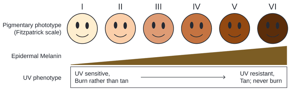 Black Skin, The Fitzpatrick Scale & Modernising Medical Language ...