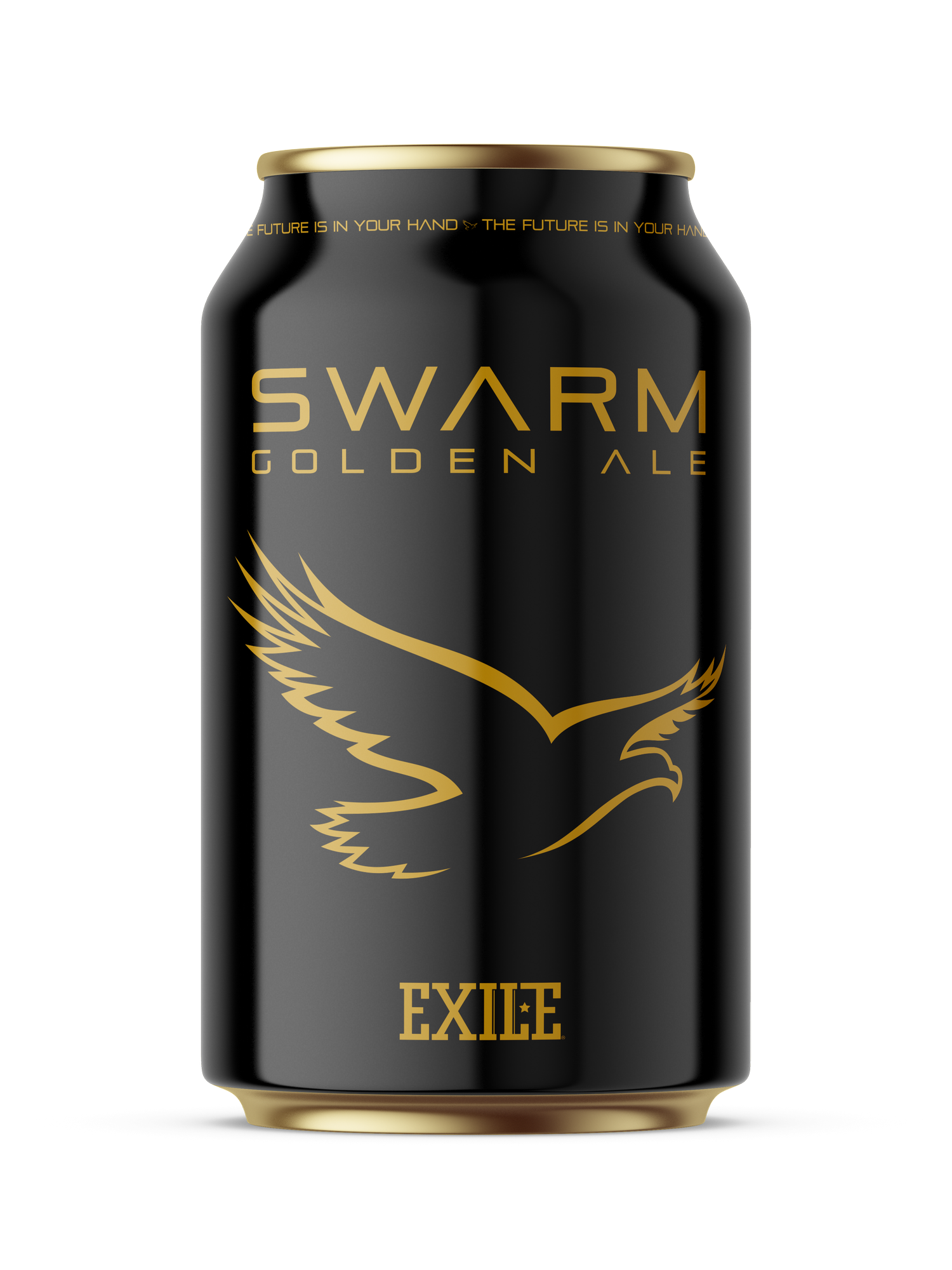 Brewing Co. — Exile Brewing