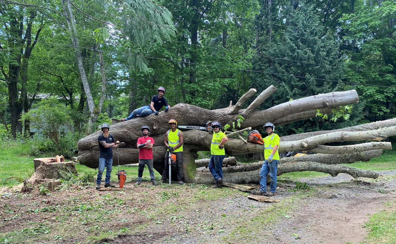 General 4 — Sauve & Sons Tree Work