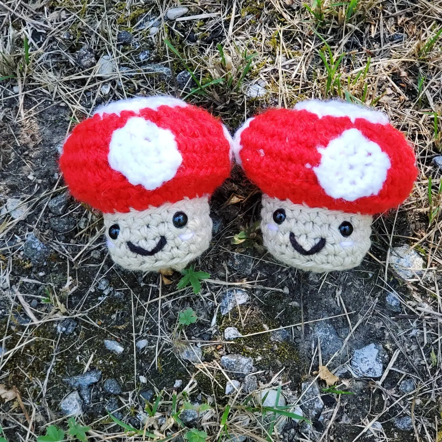 Mushroom Crochet Pattern — Summerbug Crafts