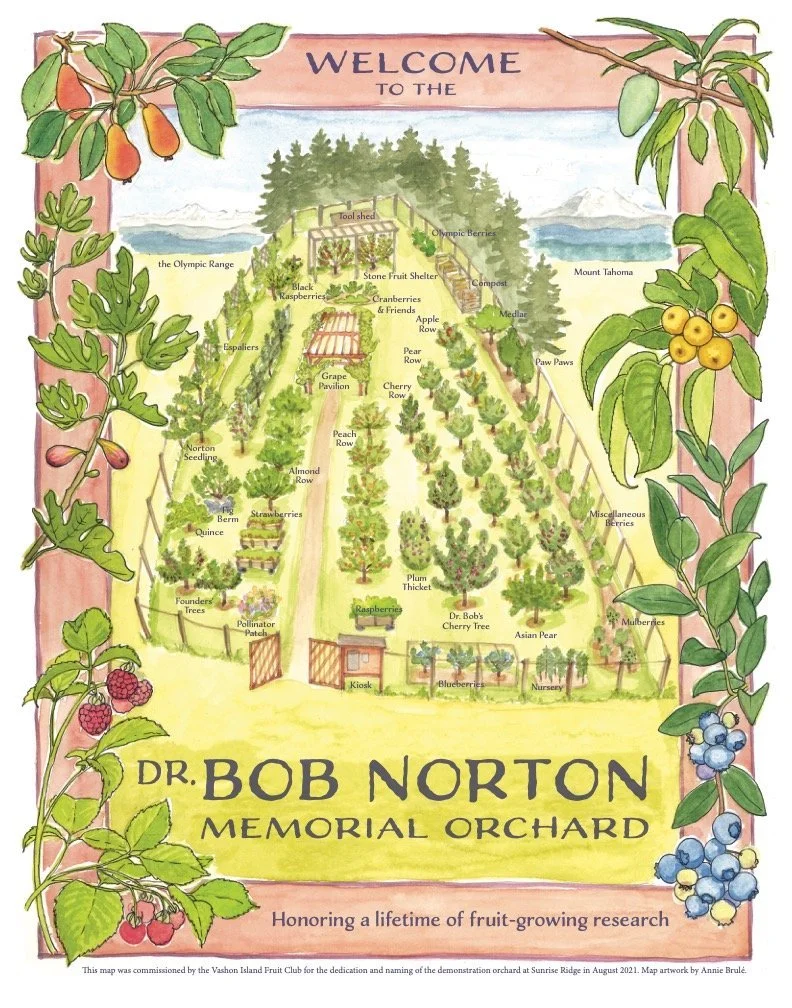 Orchard Guidelines — Vashon Island Fruit Club