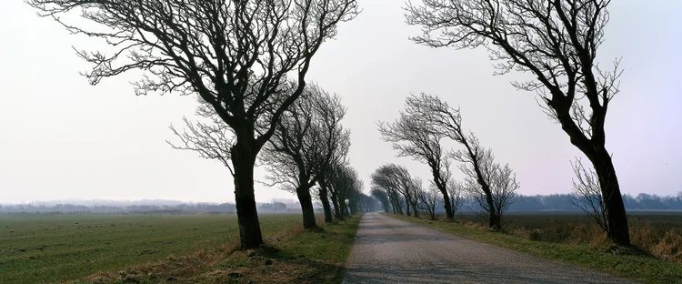 History of V.Kann Rasmussen Foundation — V.Kann Rasmussen Foundation