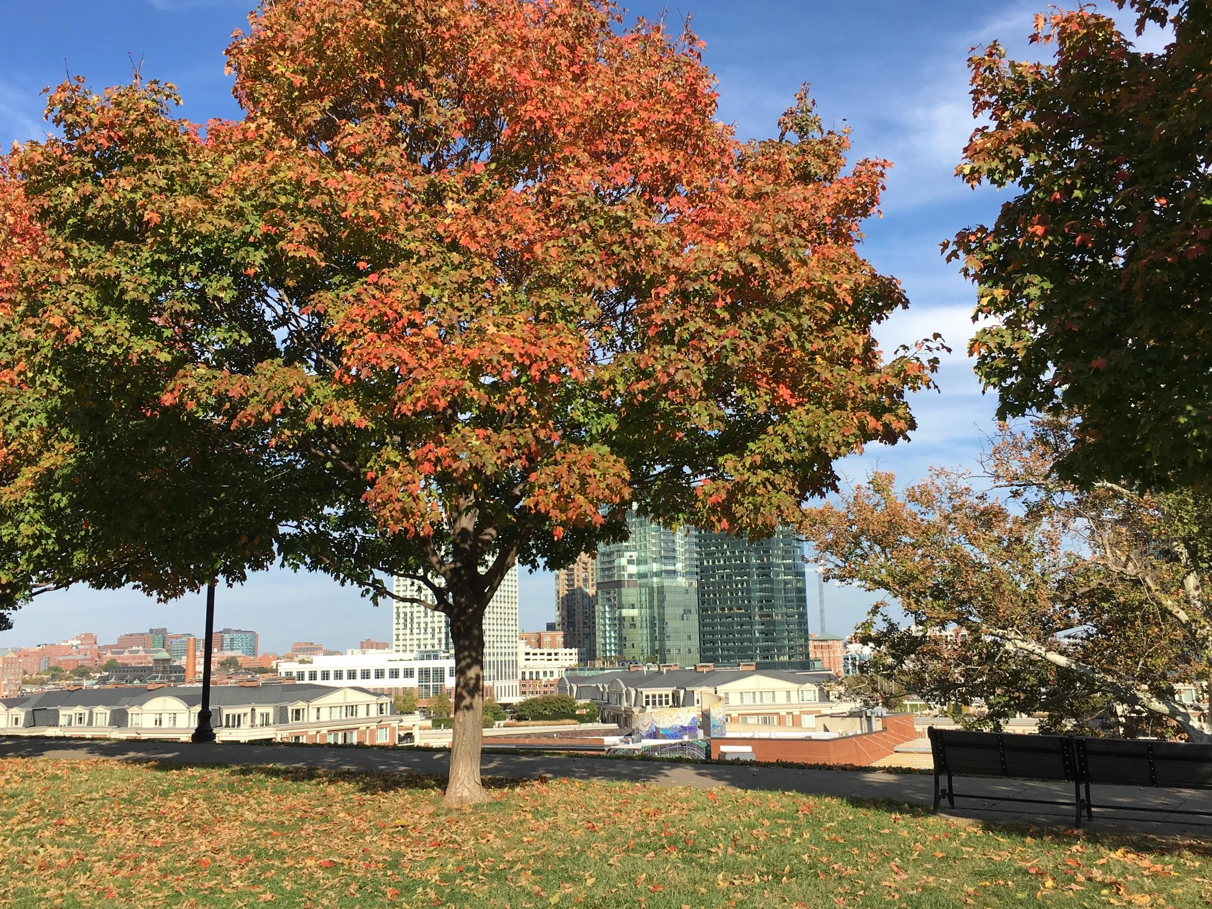 Contact — Federal Hill Neighborhood Association in Baltimore MD