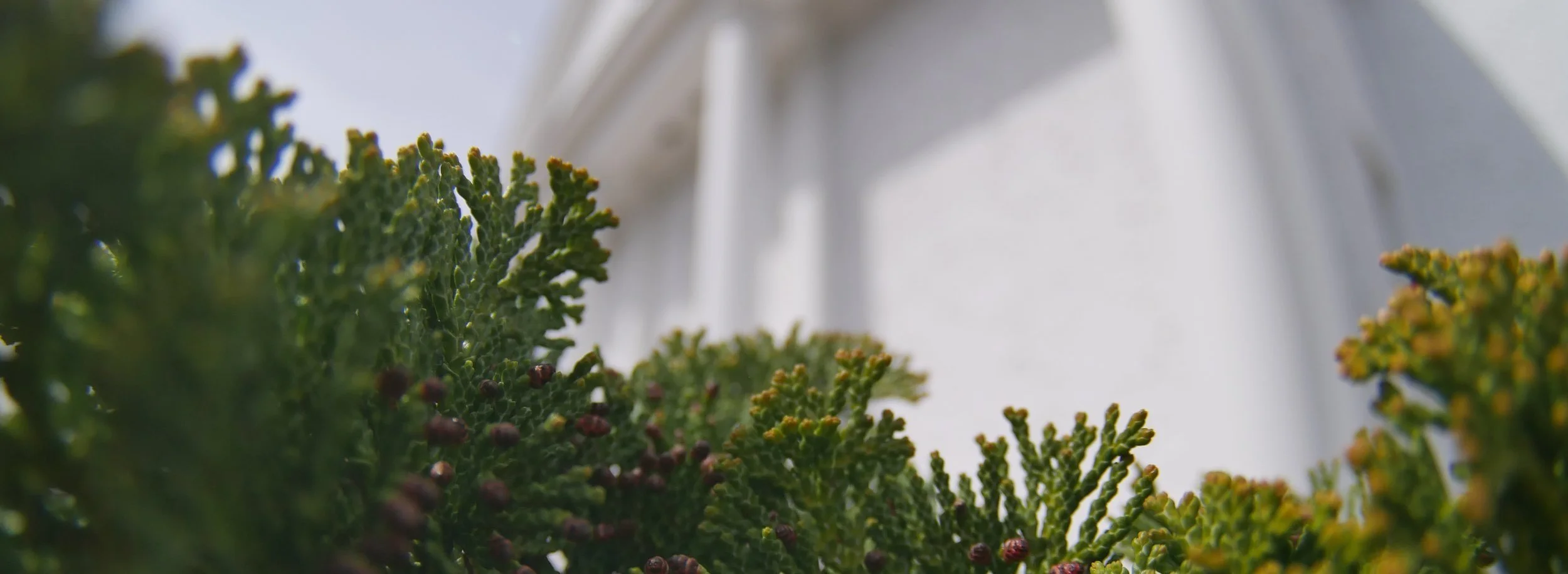 Spring Creek Church of the Brethren