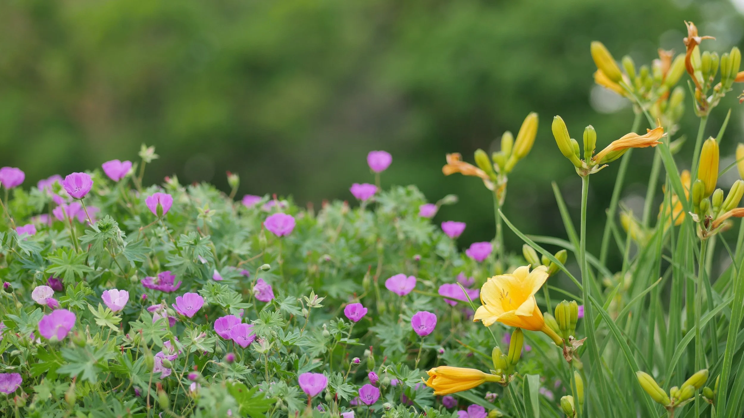 Spring Creek Church of the Brethren