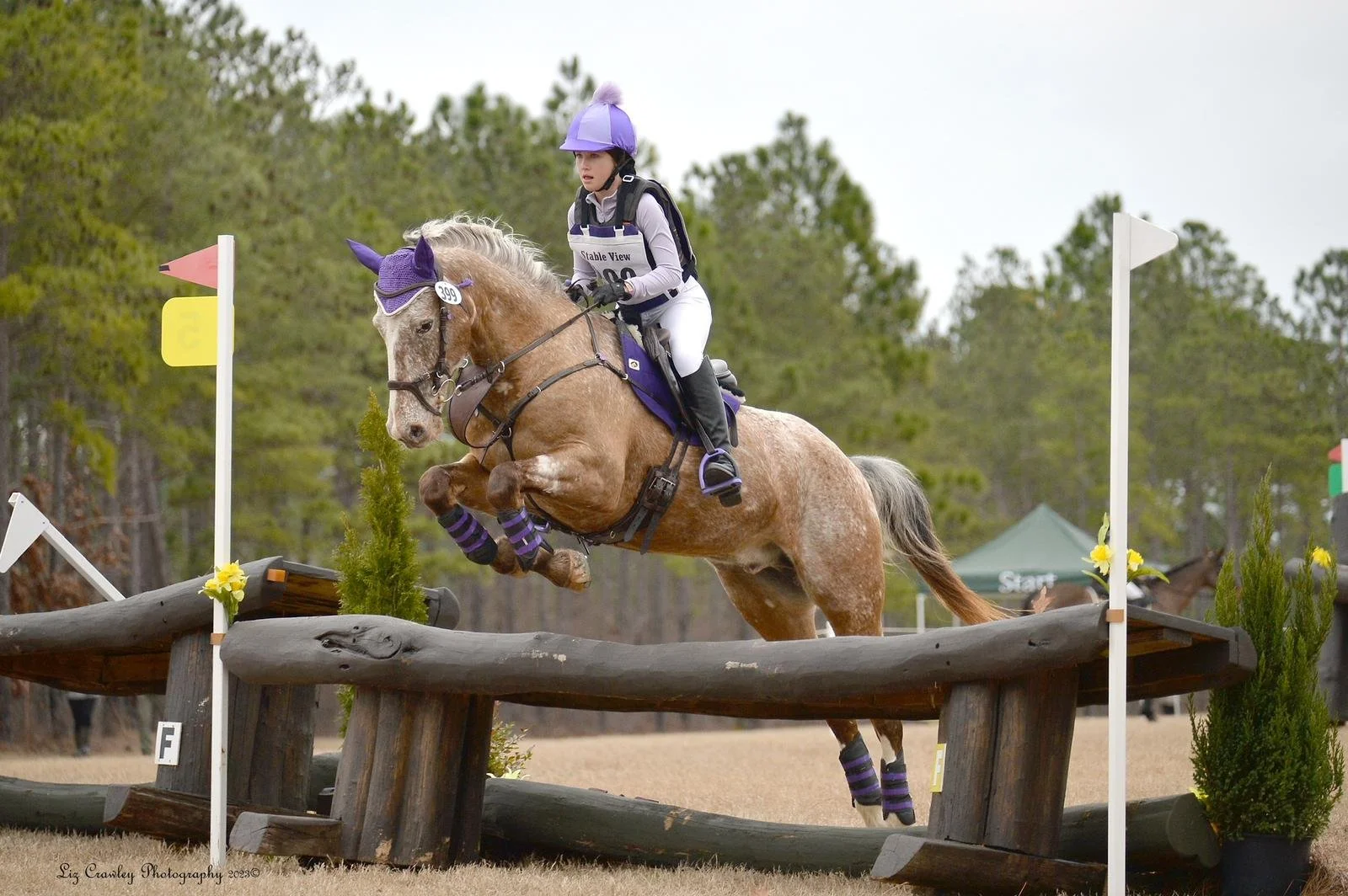 Award-Winning Riding Instruction: Our trainers are experts in Eventing ...