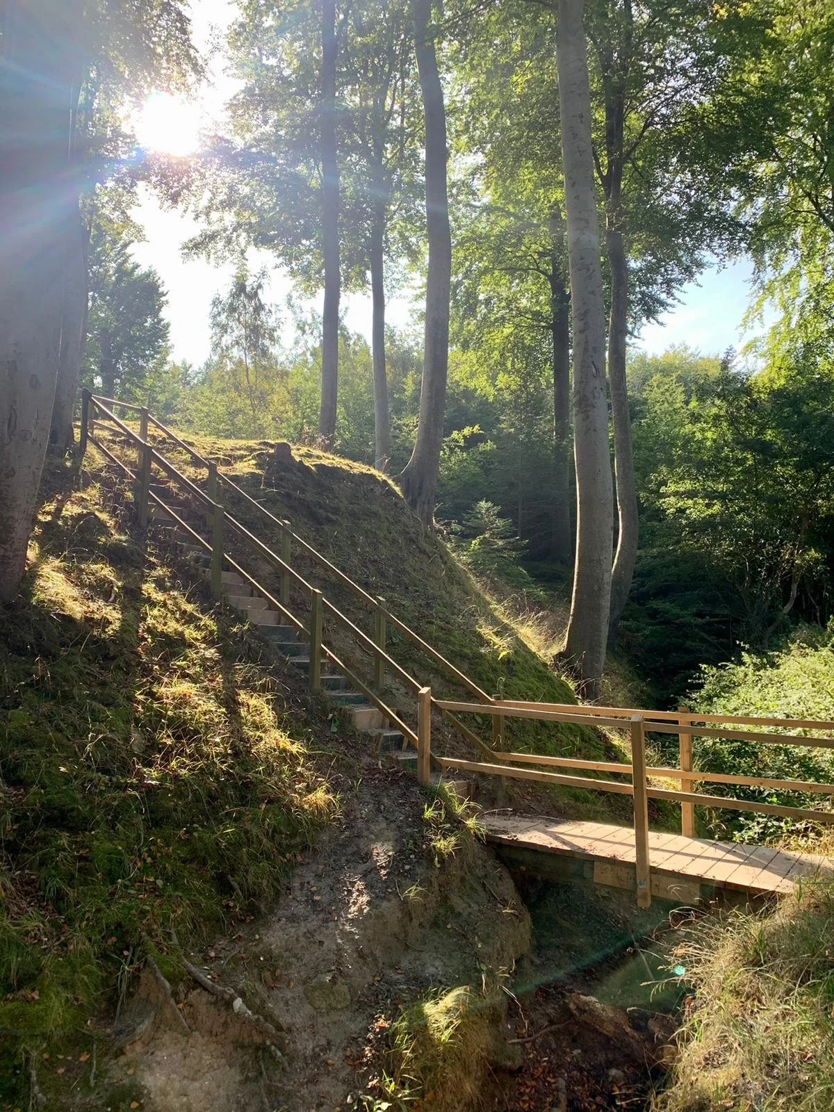 Gallery — Belling House Bed & Breakfast Wellness