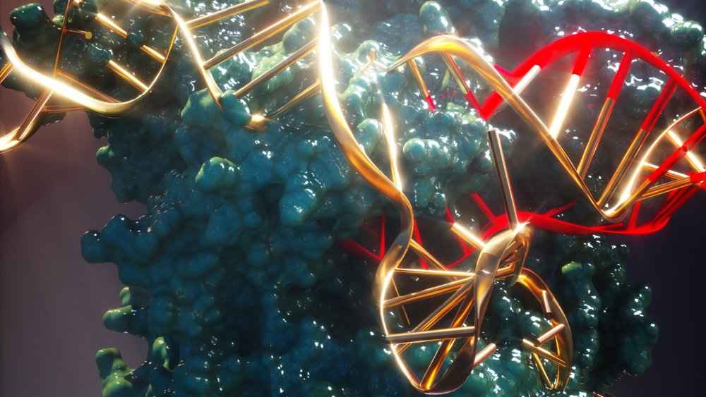 Yang Liu Lab - Liu Lab Research