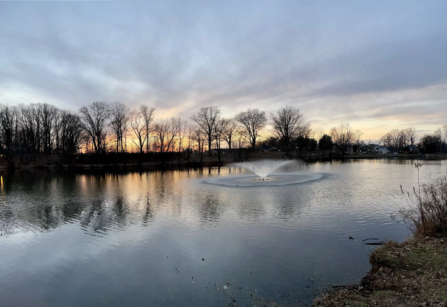 About — Audubon Civic REACH
