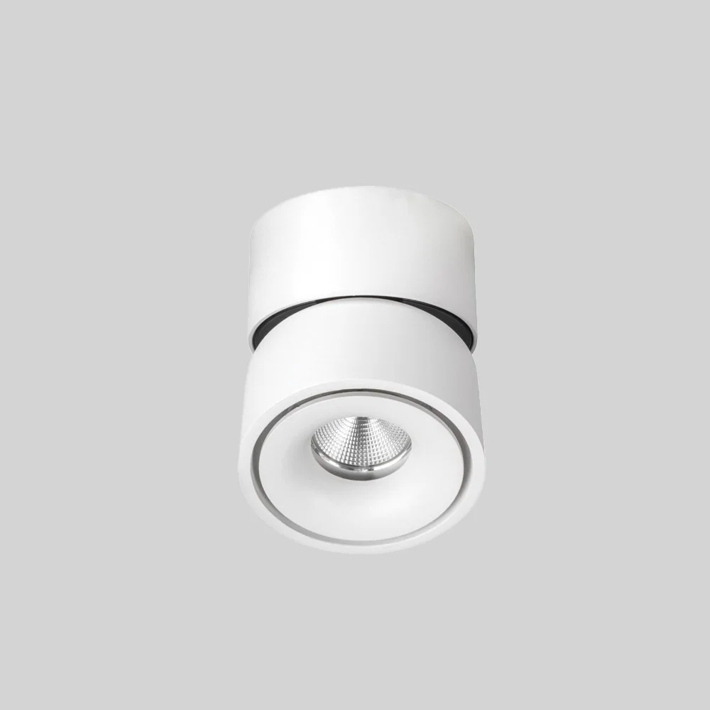 Ceiling Surface Lights — Richmond Lighting
