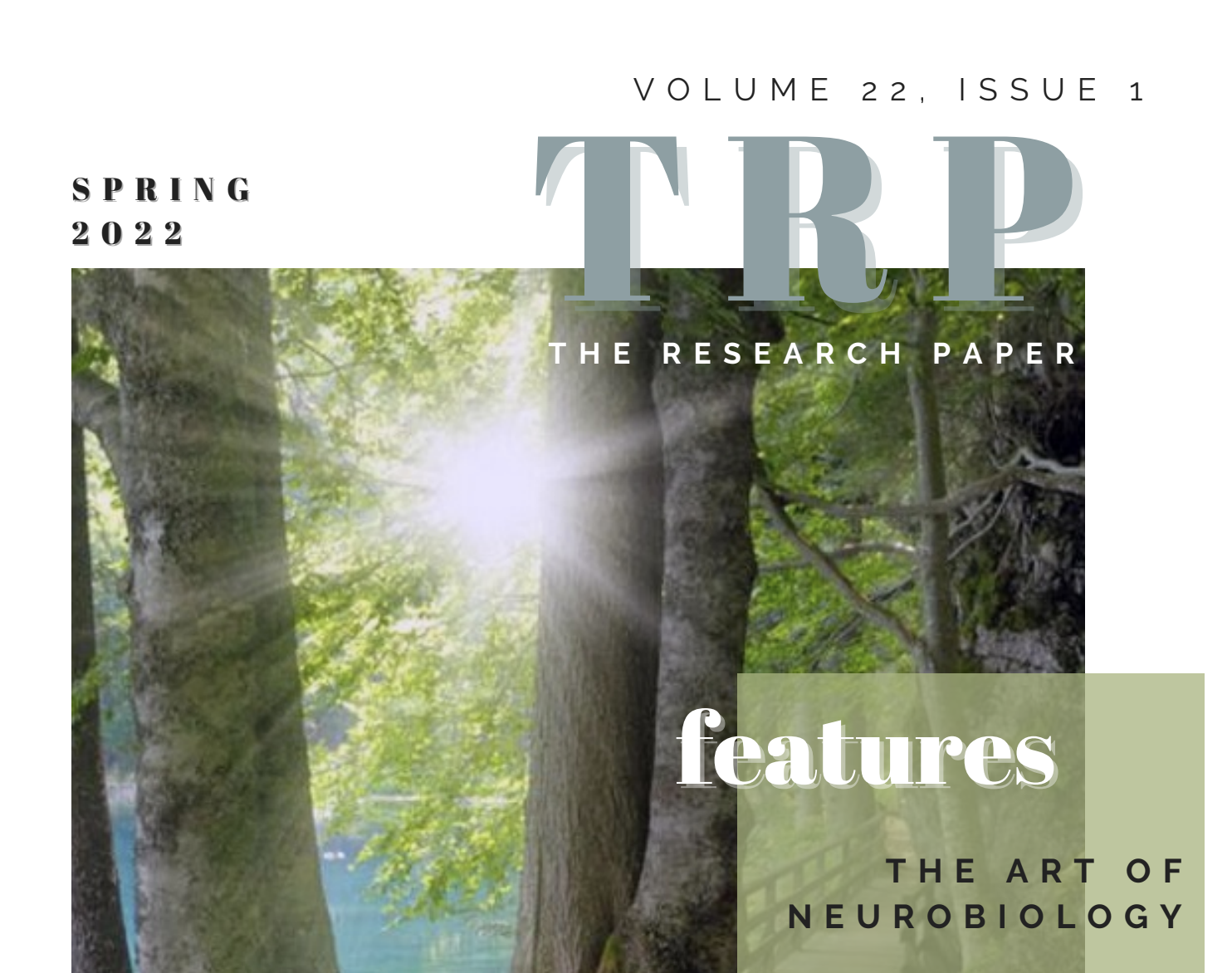Past Issues — CURM