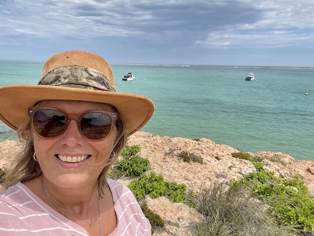 About | Discover Coastal Inspiration — Sheila McNeill Artist ...