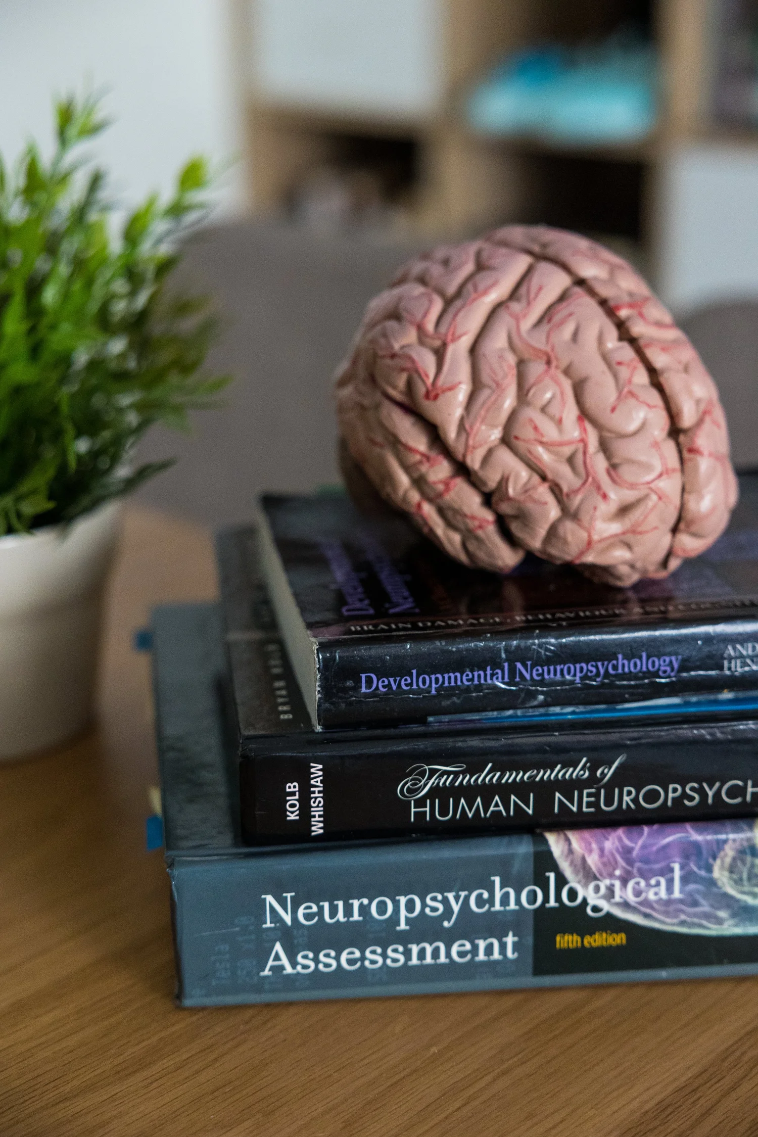 What is Neuropsychology — Developing Minds Neuropsychology | Paediatric ...