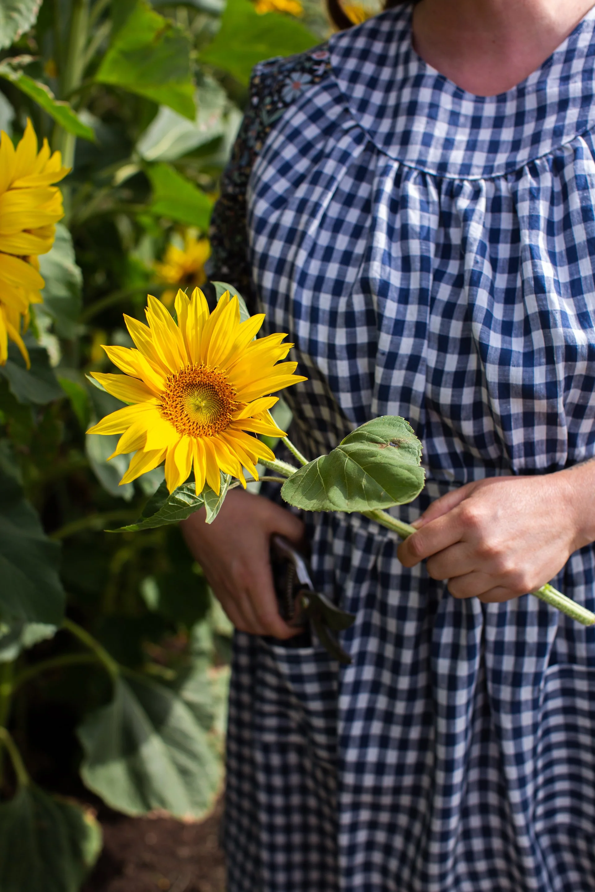 Flora Pocket Belt Sewing Pattern (PDF) — Muddy Boots Maker