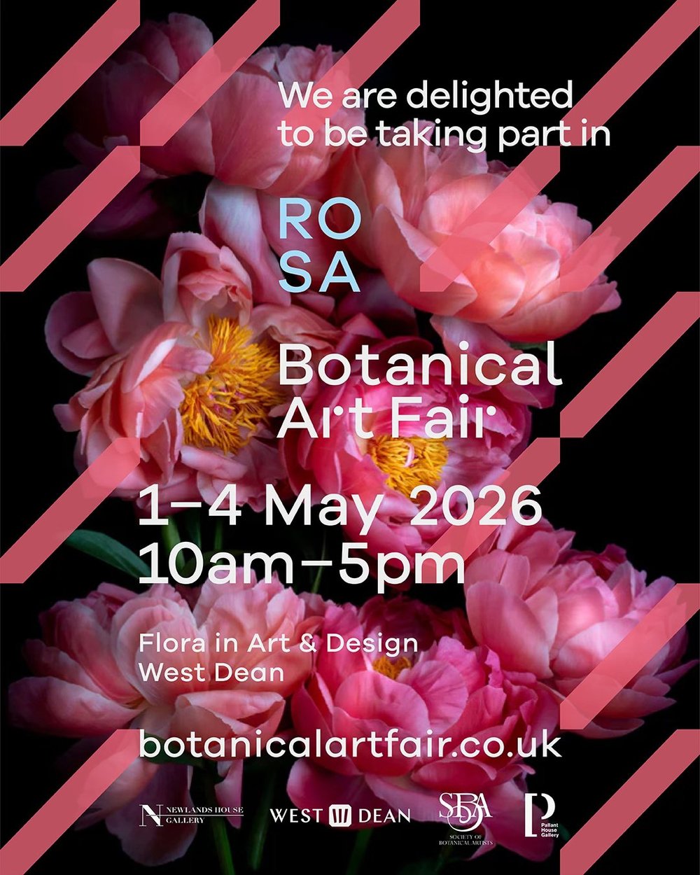 Susan Christopher-Coulson | Botanical Artist
